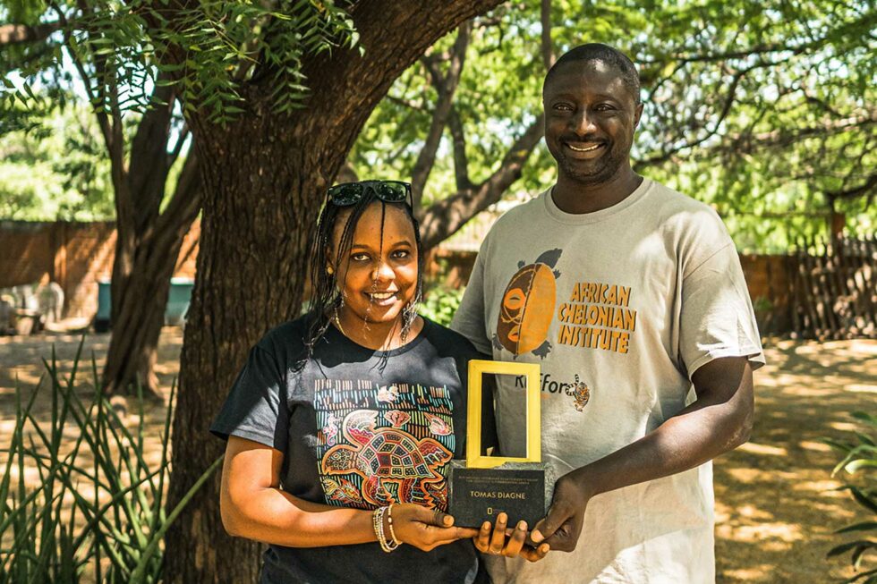 African Chelonian Institute: Saving African turtle, tortoise and ...